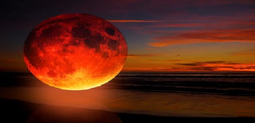 Mars in Different Houses in Astrology | Sanatan Veda